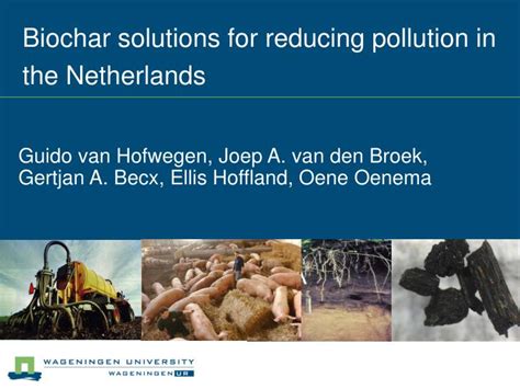 Ppt Biochar Solutions For Reducing Pollution In The Netherlands Powerpoint Presentation Id