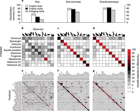 trophic structuring of multidimensional morphospace a mean accuracy