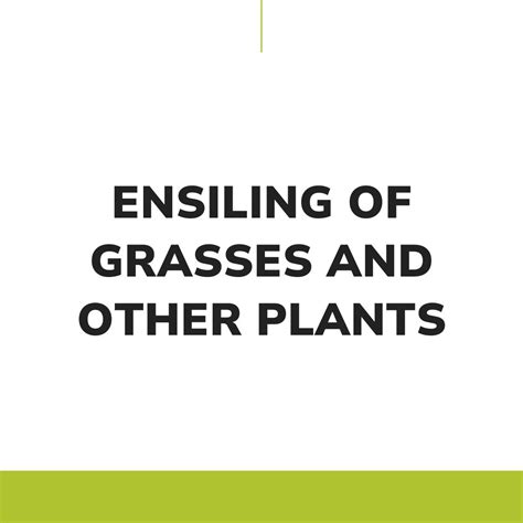 Ensiling Of Grasses And Other Plants — Folgos