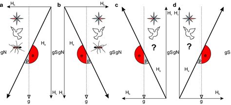 Differentiation Between Polarity And Inclination Compass Under Download Scientific Diagram