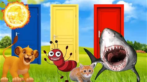 سيمبا وحيوانات الغابة قصص أطفال حواديت قبل النوم رسوم كرتونية