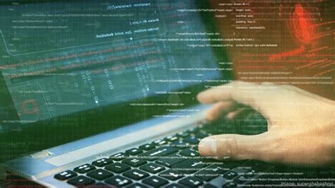 Knowbe4 Lessons From Hiring A North Korean Hacker Tampa Bay Business