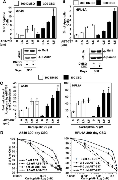 Abt 737 Resensitizes The Long Term Csc Treated Cells To Carboplatin