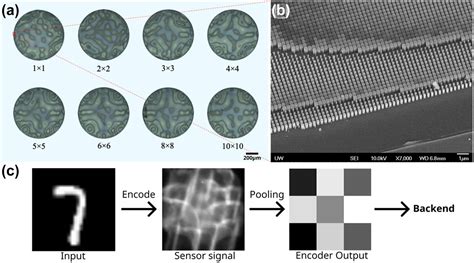 Photonic Advantage Of Optical Encoders