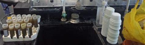 Fecalysis Stool Exam What To Expect Medikoph