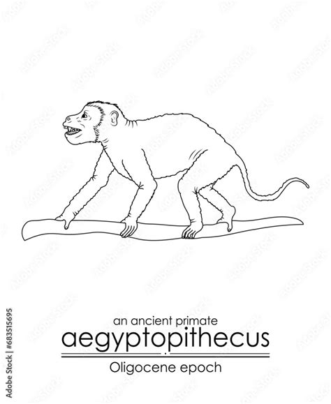 An Ancient Primate Aegyptopithecus From Oligocene Epoch Black And White Line Art Perfect For