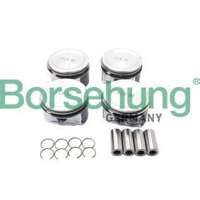 B18670 Borsehung Πιστόνι B18670 τιμή και εμπειρία