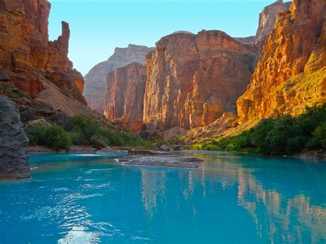 Lcr At The Bottom Of Big Canyon A Tributary Into The Grand Canyon