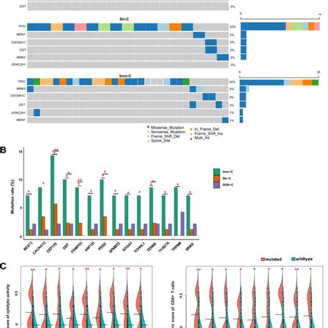 Comparisons Of Genomic Features Among The Sarcoma Subtypes In Download Scientific Diagram