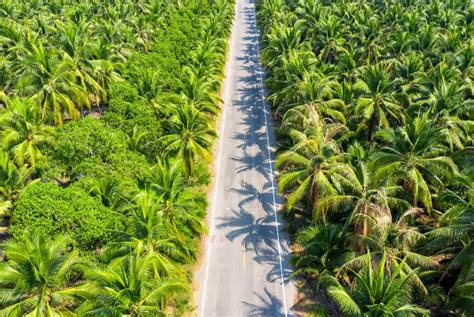 Margin Optimization Value Chain Underpins Growth For Golden Agri