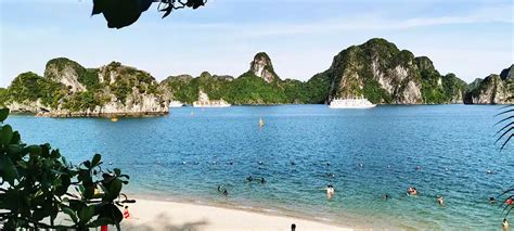 Swimming In Ha Long Beach V Dream Cruises Official Halong Bay Tour