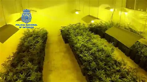 Desarticulada Una Organización Criminal Dedicada Al Tráfico De Drogas Y