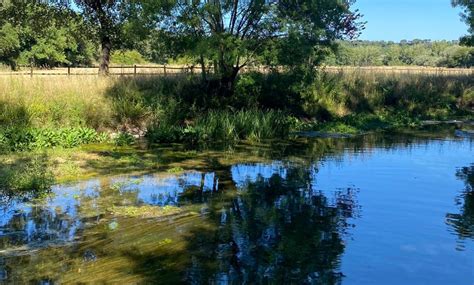 Lake Background 3 By Art Man 1999 On Deviantart