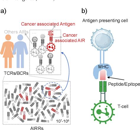 Figure 1 From A Label Disambiguation Based Multimodal Massive Multiple