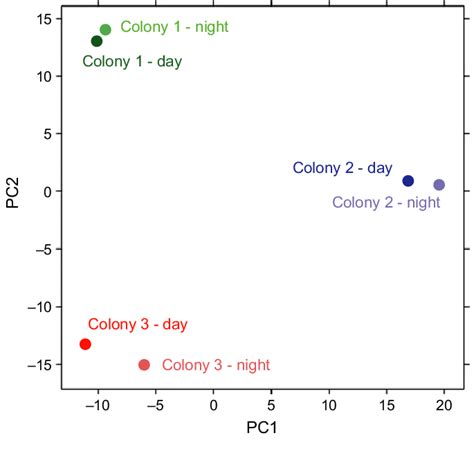 Multidimensional Scaling Plot Of Digital Gene Expression Profiles