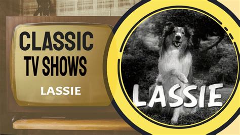 Jeff And Lassie Tv Show