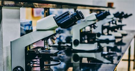 Mental Health Wellness Dopamine And Chemical Dependence Play A Major