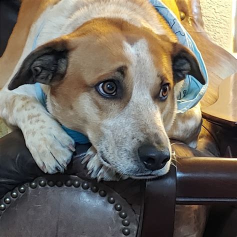 Jim Hardy Real Estate