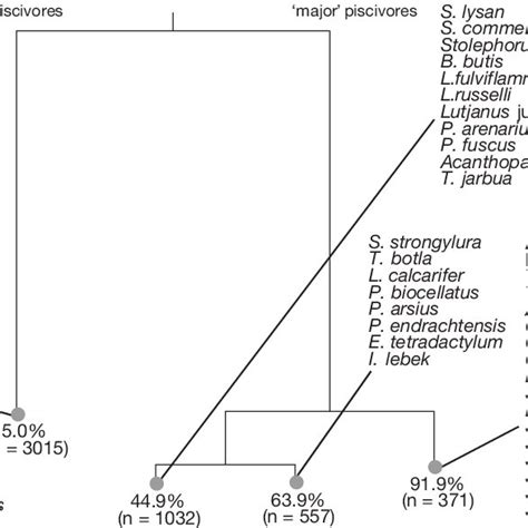 Four Leaf Univariate Classification And Regression Tree Defining Major