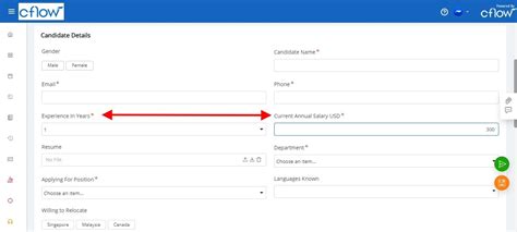How Do I Make The Field Conditional Invisible In A Form Cflowapps