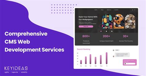 Top Cms Agency Services Cms Web Development Services