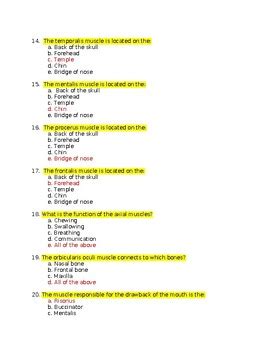 A P I Axial Muscles Quiz Answer Key By Human Biology Resources
