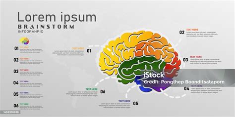 다채로운 주제 정보 브레인스토밍 및 마음 교육 인텔리전스 개념이 있는 뇌 인포그래픽 벡터 일러스트레이션의 일부 인간 신경계에 대한 스톡 벡터 아트 및 기타 이미지 Istock