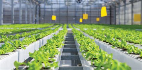 Data Logging Solutions For Indoor Agriculture