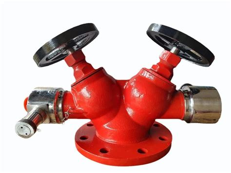 Cast Iron Double Headed Hydrant Valve For Industrial At ₹ 11500 Piece