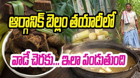 ఎకరానికి రూ 80 వేలపైనే ఆదాయం Vishwanath Youtube