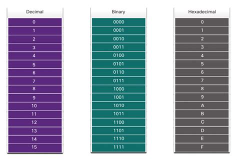 7 2 Ethernet MAC Address Flashcards Quizlet