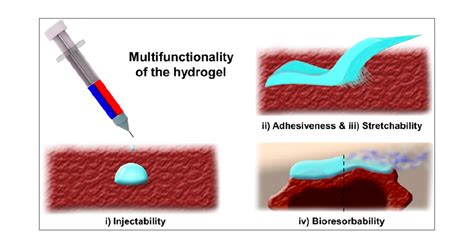 Multifunctional Injectable Hydrogel For In Vivo Diagnostic And