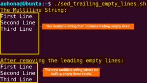 How To Remove Empty Lines In Bash Methods LinuxSimply