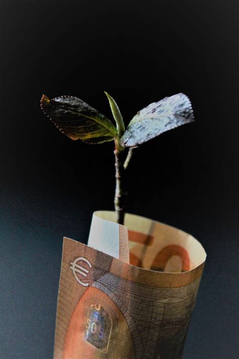 Anthony Cavaluzzi Talks About Business Valuation Best Practices