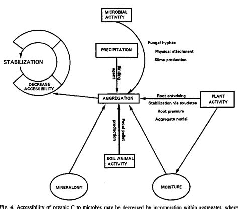 Figure 1 From Stabilization And Destabilization Of Soil Organic Matter