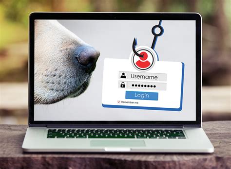 Password Sniffing Cyberhoot Cyber Library