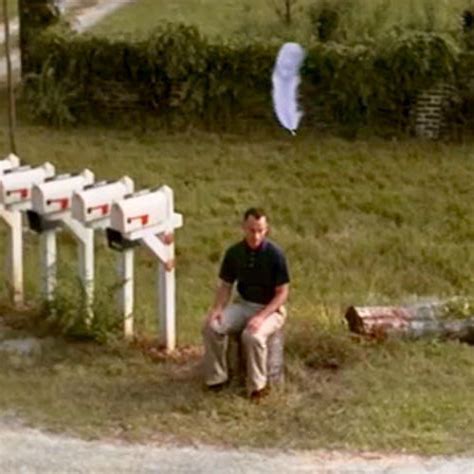 Forrest Gump Feather