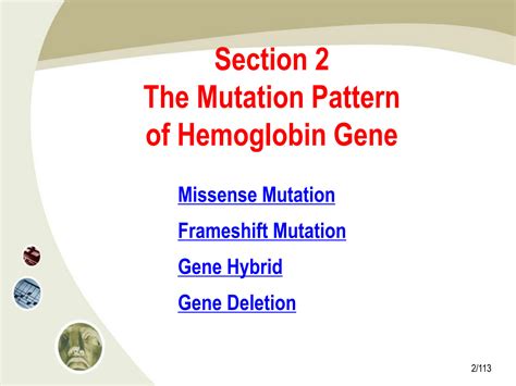 Solution Hemoglobinopathy The Mutation Pattern Of Hemoglobin Gene