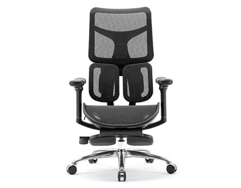 Sihoo Doro S100 כסא ארגונומי יוקרתי שחור הנציג הרשמי של Sihoo בישראל