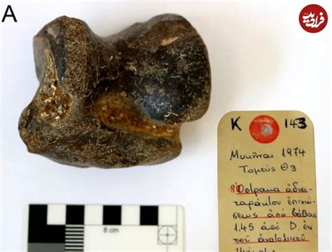 چرا یونانیان باستان به دنبال فسیل می‌گشتند؟