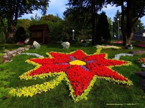 Клумба в форме цветка. 15 фото удивительных моделей