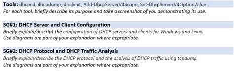 [solved] tools dhcpcd dhcpdump dhclient add dh solutioninn