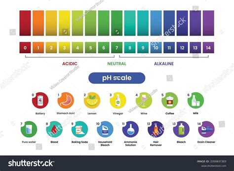 ph scale. ph scale infographic. pH value scale - Royalty Free Stock Vector 2359937303 - Avopix.com