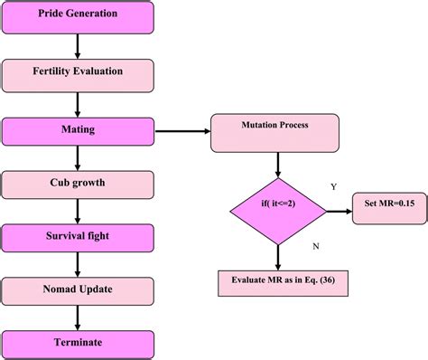 Flow Chart Of The Proposed Algorithm NMRLA Download Scientific Diagram
