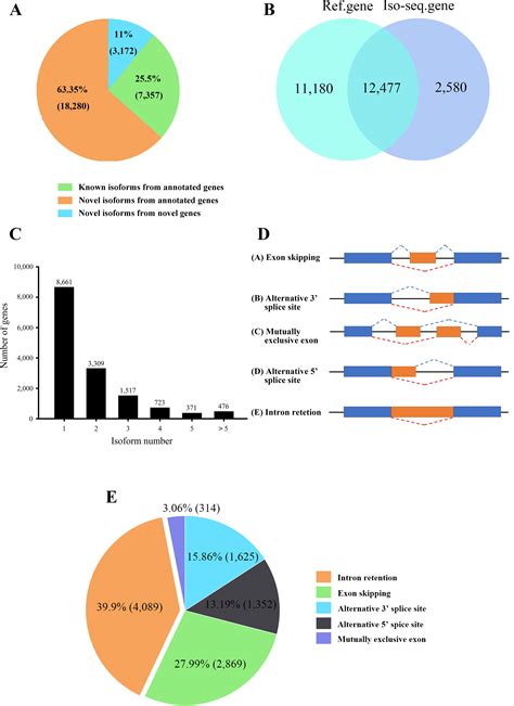 Frontiers Characterization Of Full Length Transcriptome Sequences And