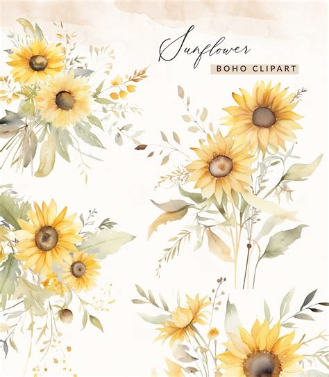 Watercolor Boho Sunflower Clipart Watercolor Sunflower Clipart