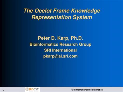 Ppt The Ocelot Frame Knowledge Representation System Powerpoint