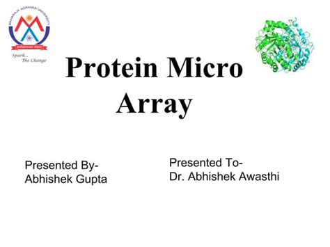 Explain The Details Protein Micro Array Pdf