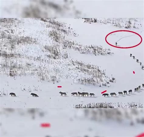 Shruti Mehta On Linkedin Nature Holds All The Anwers Be It Leadership Teamwork Motivation Or