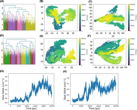 Molecular Modeling Molecular Dynamics Simulation And Essential